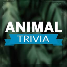 Animal Trivia - Play Animal Trivia on Jopi