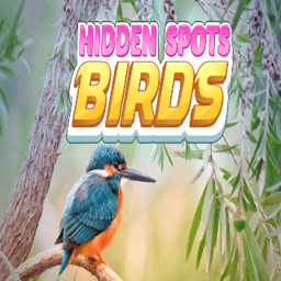 Hidden Spots Birds - Play Hidden Spots Birds on Jopi