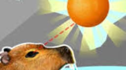 CAPYBARA 3D Click and Get Rich - Juega gratis - Juegos en línea