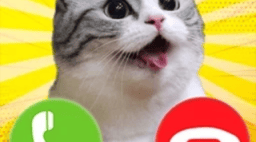 Komaru cat - Jouez gratuitement - Jeux en ligne